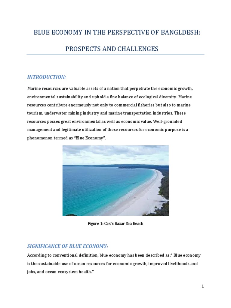 Blue Economy in The Perspective of Bangldesh | PDF | Sustainability ...