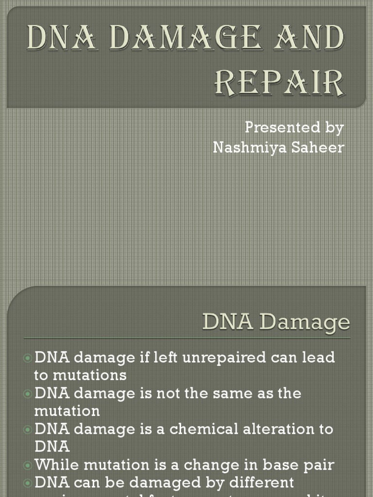 DNA Damage and Repair | PDF | Dna Repair | Dna