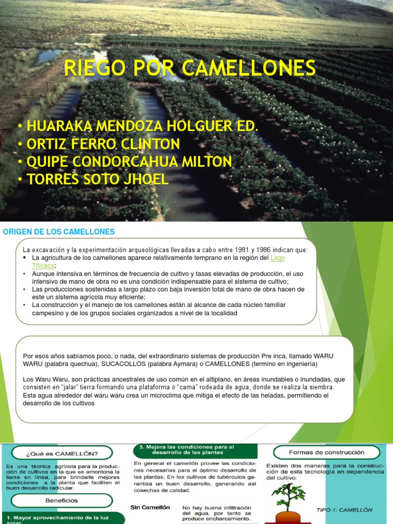 Camellones en El Peru | PDF | Agricultura | Agua