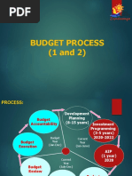 Local Budget Process | PDF | Budget | Economies