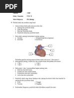 Soal Ulangan IPA KELAS 8 SISTEM PERNAFASAN | PDF