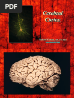 Brodmanns Area Table | PDF | Frontal Lobe | Cerebral Cortex