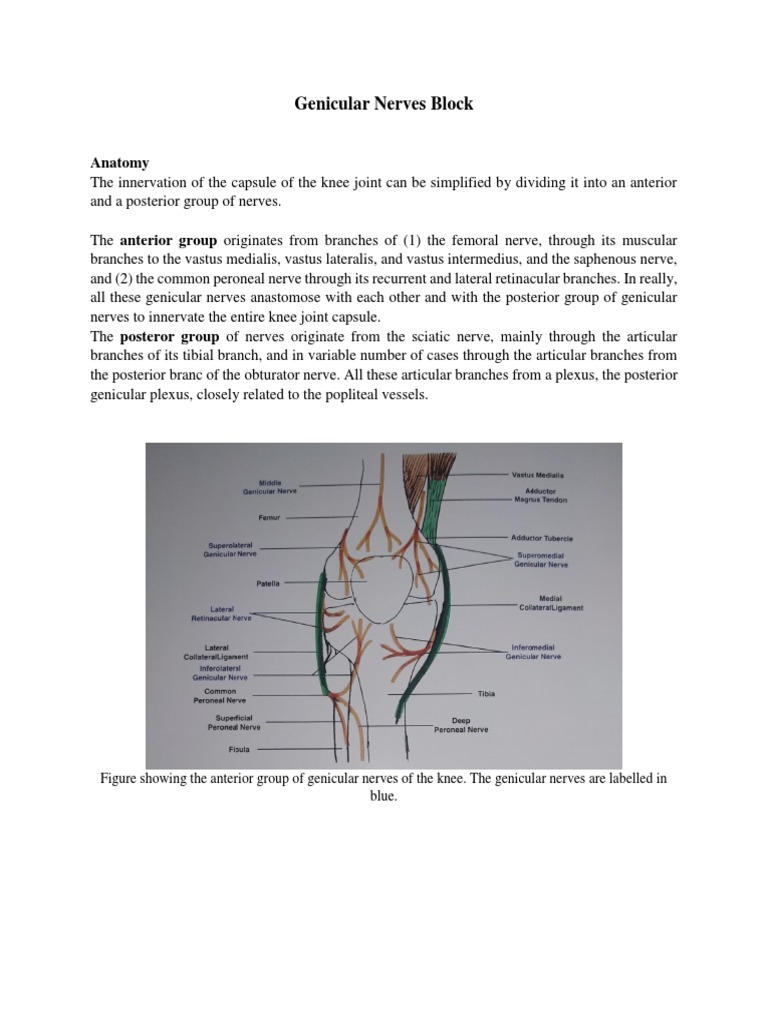 Genicular Nerves Block | Medical Ultrasound | Knee