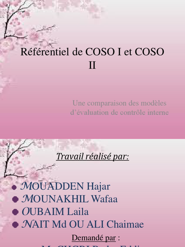 Coso I Coso II Chegri | PDF | Contrôle interne | Business
