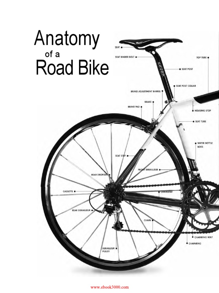 Anatomy Road Bike | PDF