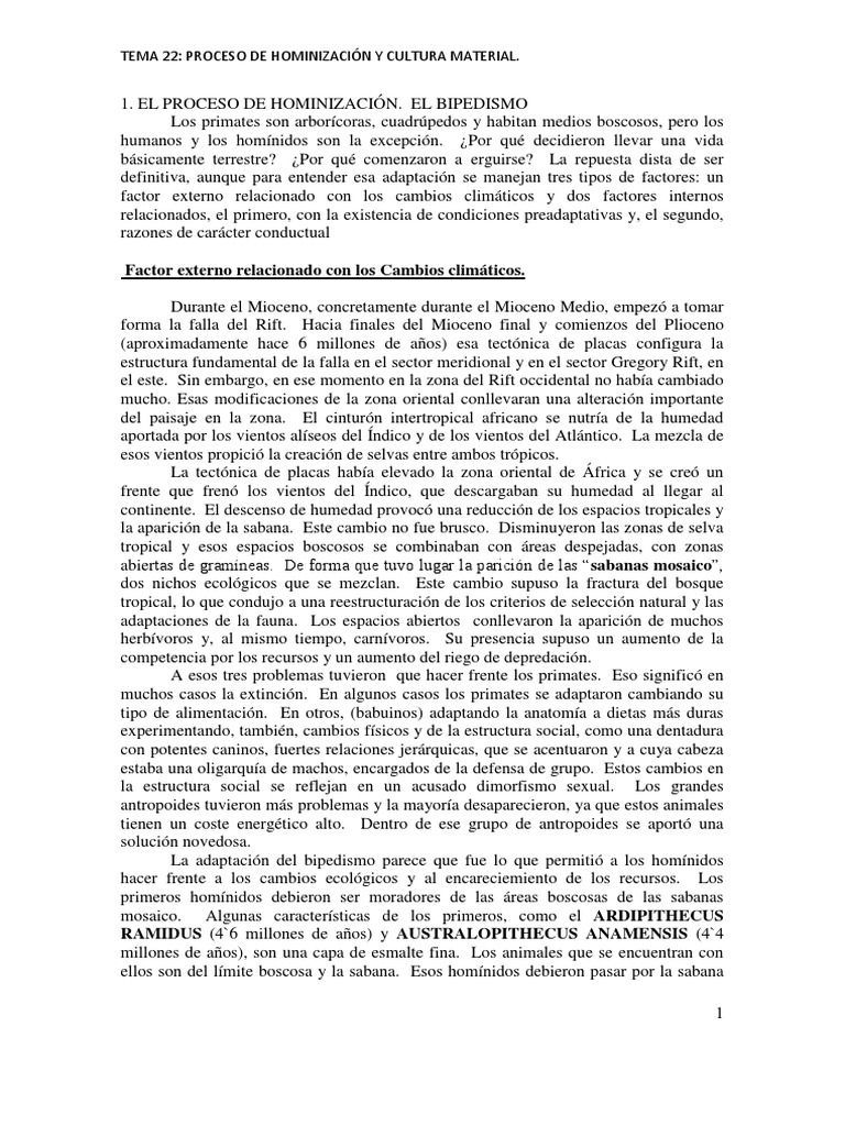 Tema 22 Proceso de Homonización | PDF | Homo | Evolución humana Tema 22 Proceso de Homonización | PDF | Homo | Evolución humana