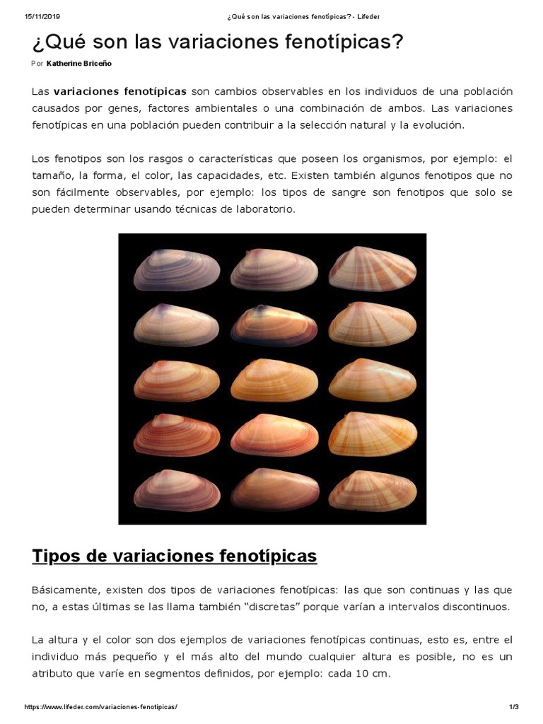 Que Es Variaciones Fenotipicas | PDF | Fenotipo | Evolución