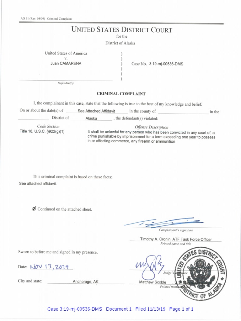 Legal Case Filing Details | PDF | Finance & Money Management | Politics