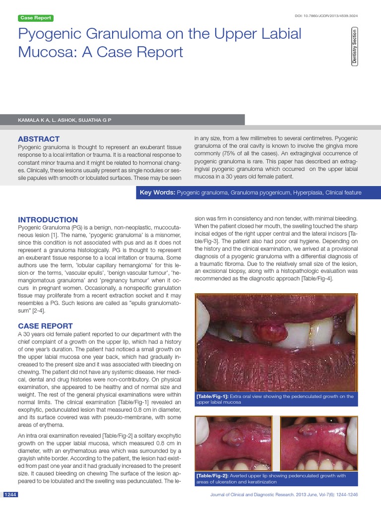 Upper Labial | PDF | Anatomy | Diseases And Disorders