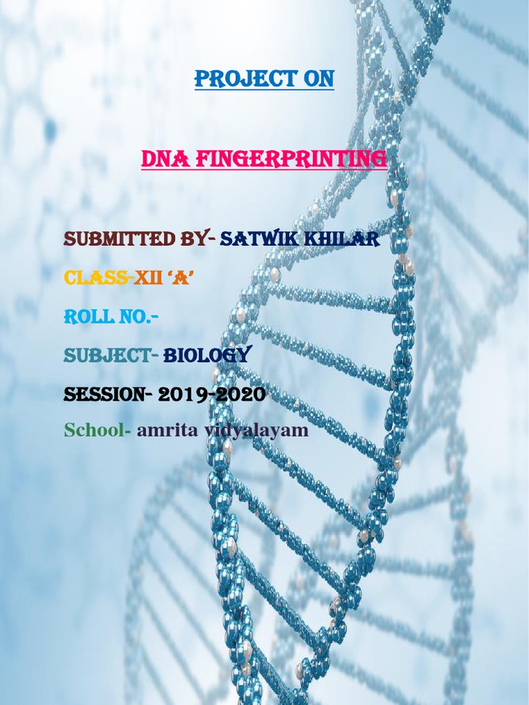 DNA Fingerprinting: An Analysis of Satwik Khilar's School Project on ...