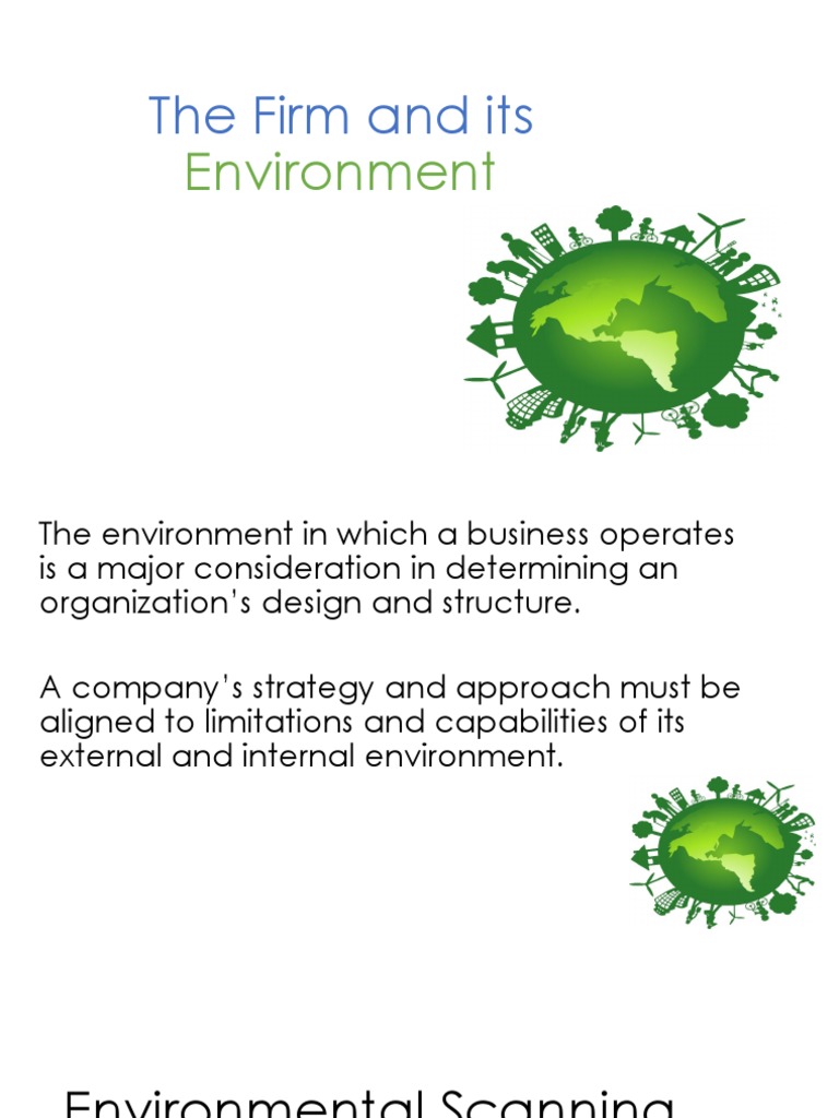 The Firm and Its Environment | PDF | Business | Employment