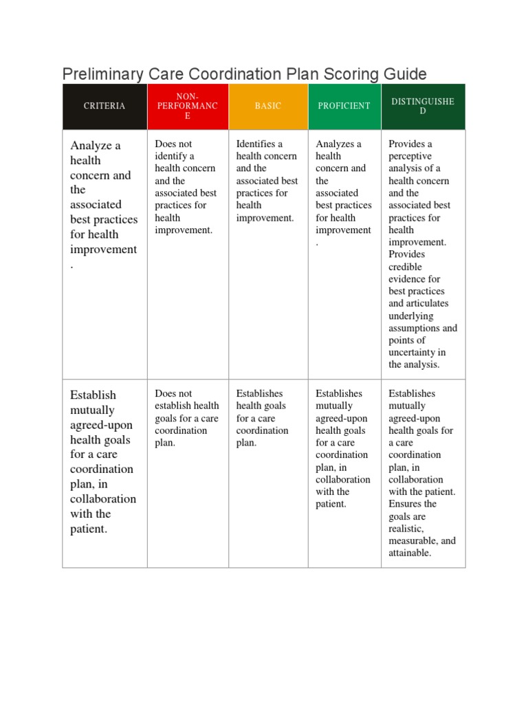 Scoring Guide - Preliminary Care Plan | PDF | Health Care | Cognition