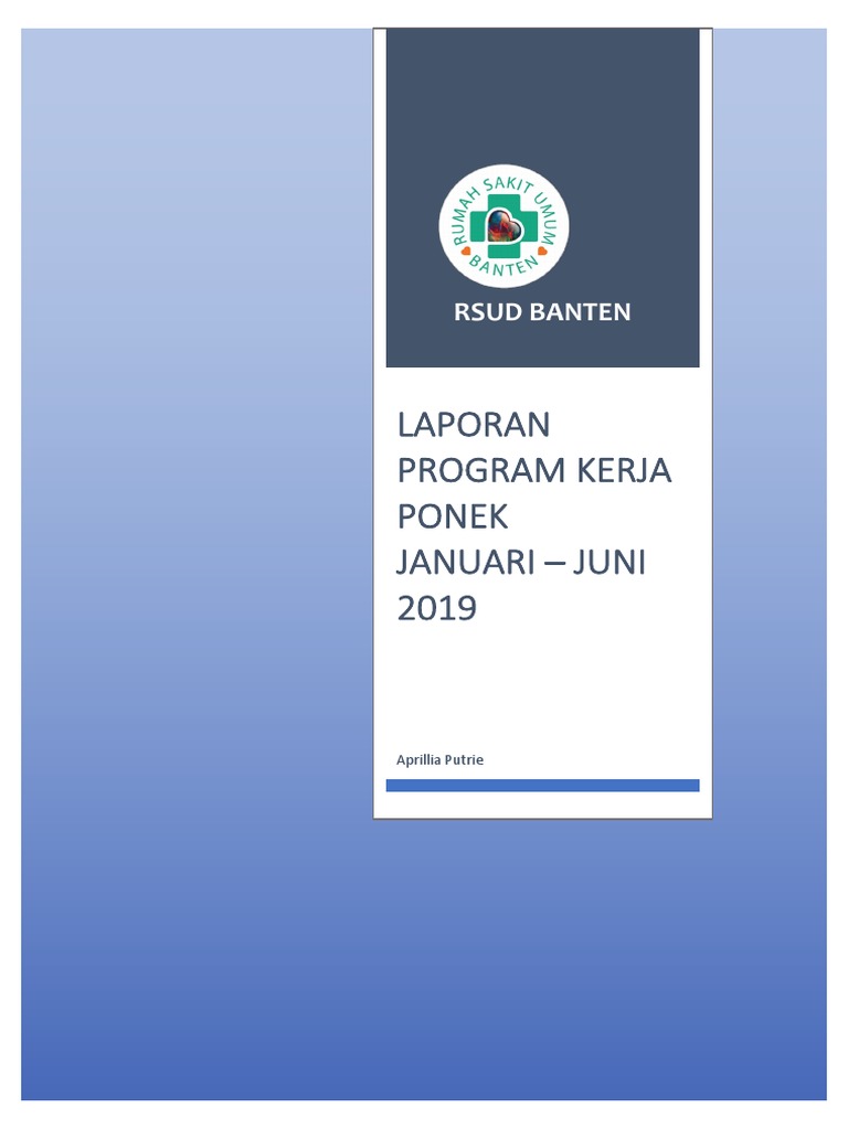 1 Laporan Program Kerja Ponek 2019 | PDF