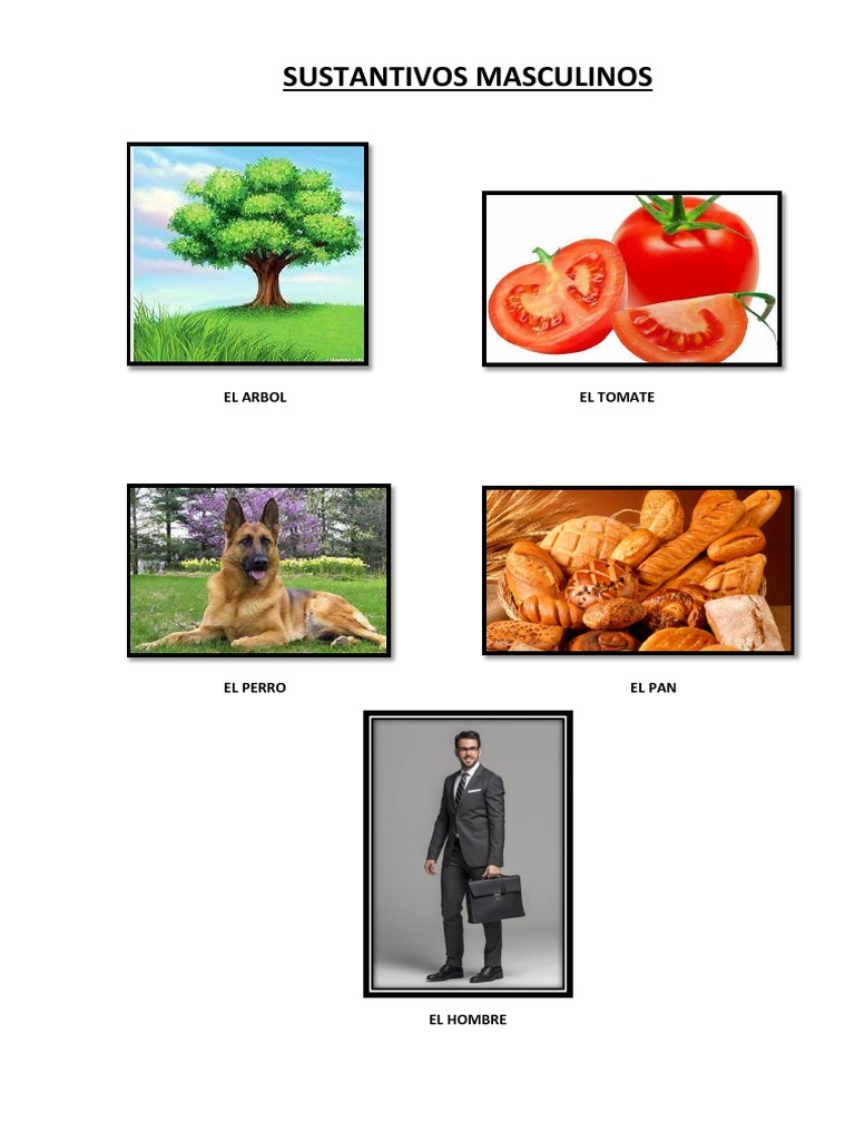 Sustantivos Masculinos | PDF | Arte