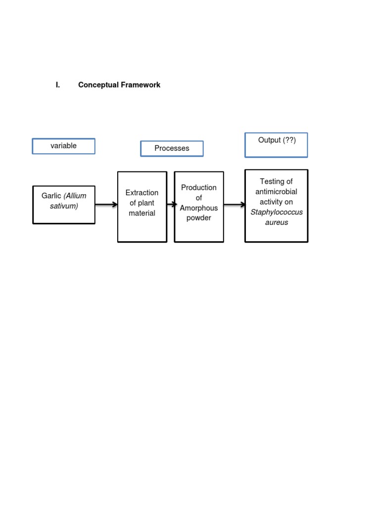 I. Conceptual Framework: Variable Output (??) Processes | PDF