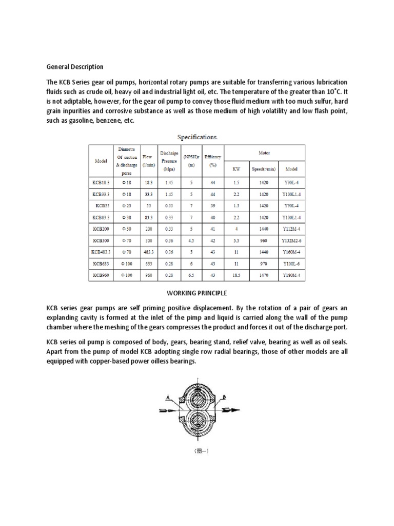 Manual HSD Pump | PDF | Bearing (Mechanical) | Pump