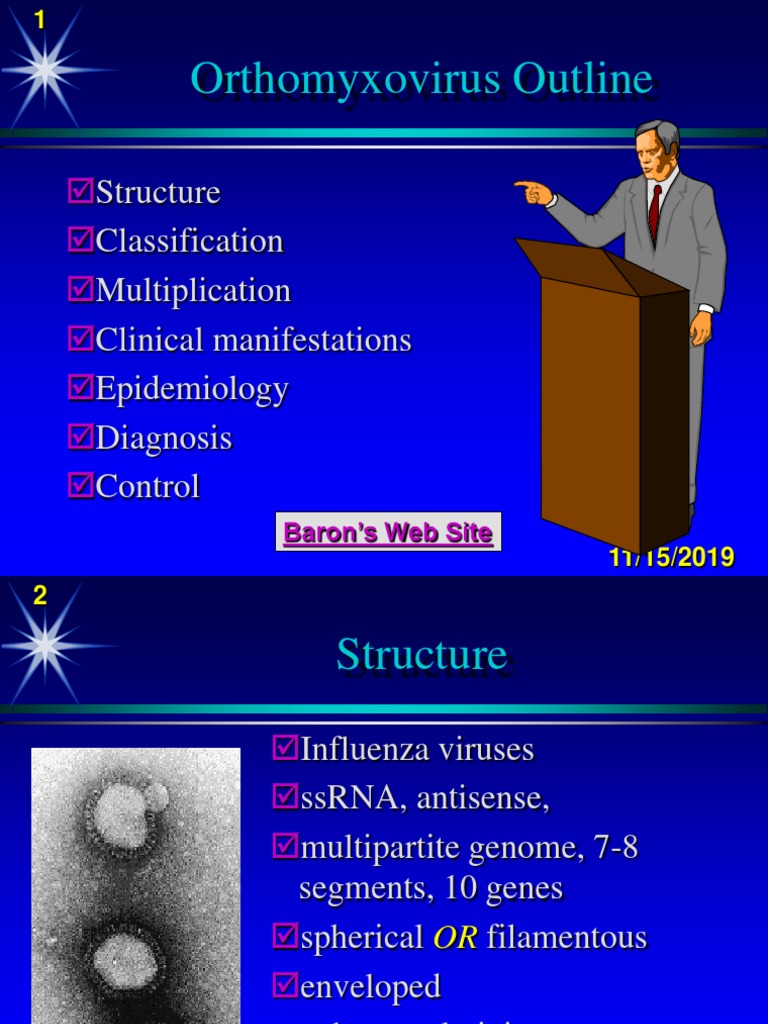 Orthomyxovirus Outline: Structure Classification Multiplication ...