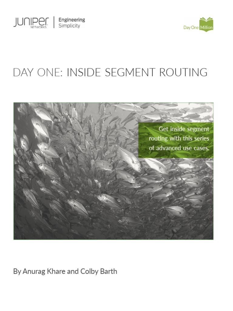 Day One Inside Segment Routing Pdf Multiprotocol Label Switching Networking 