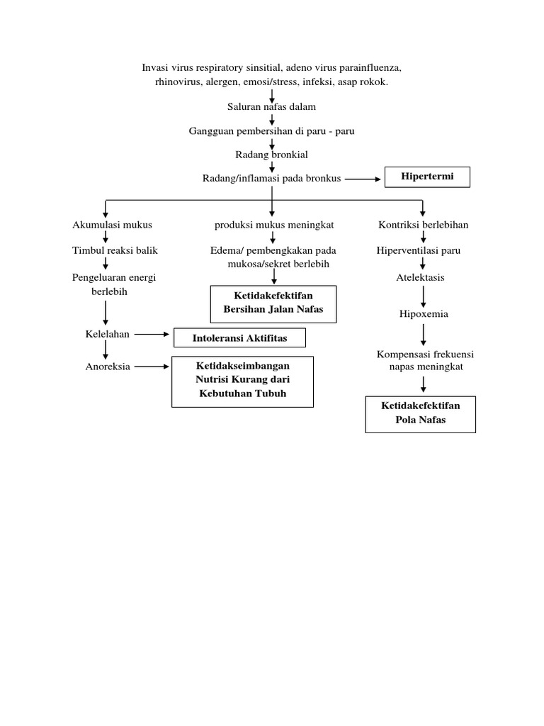Pathway Bronkitis | PDF