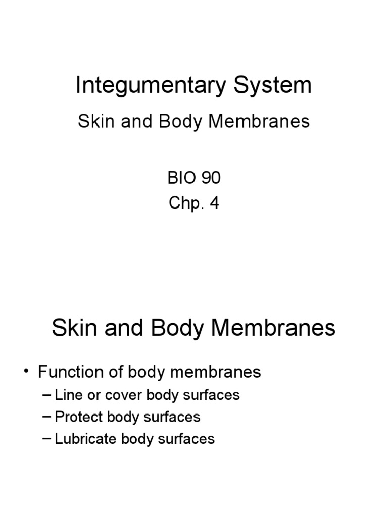 Integumentary System: Skin and Body Membranes | PDF | Skin ...