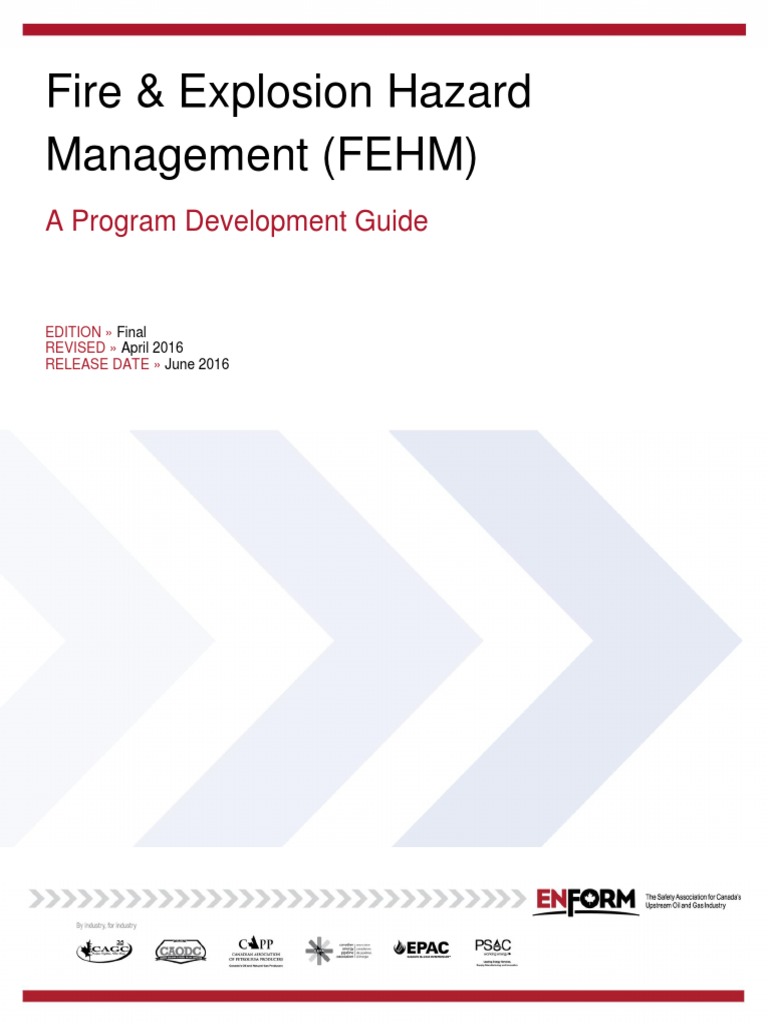 FEHM Final June 2016 | PDF | Combustion | Natural Gas