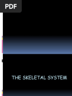 The Skeletal System - Skeleton - Living Organisms - KS3 Biology - BBC ...