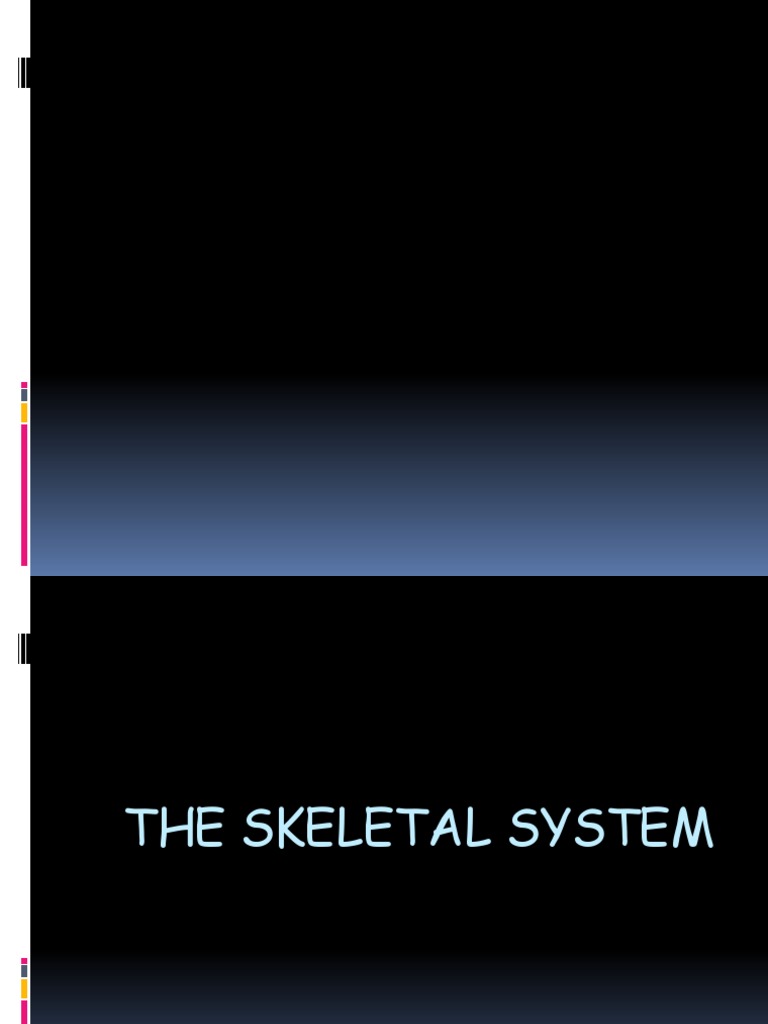 Overview of the Skeletal System | PDF | Skeleton | Bone