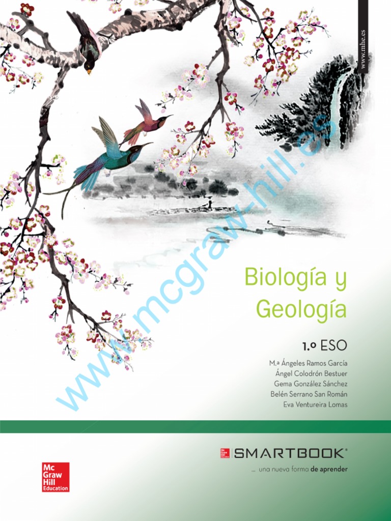 Biología y Geología 1 Eso | PDF | Roca (geología) | Minerales