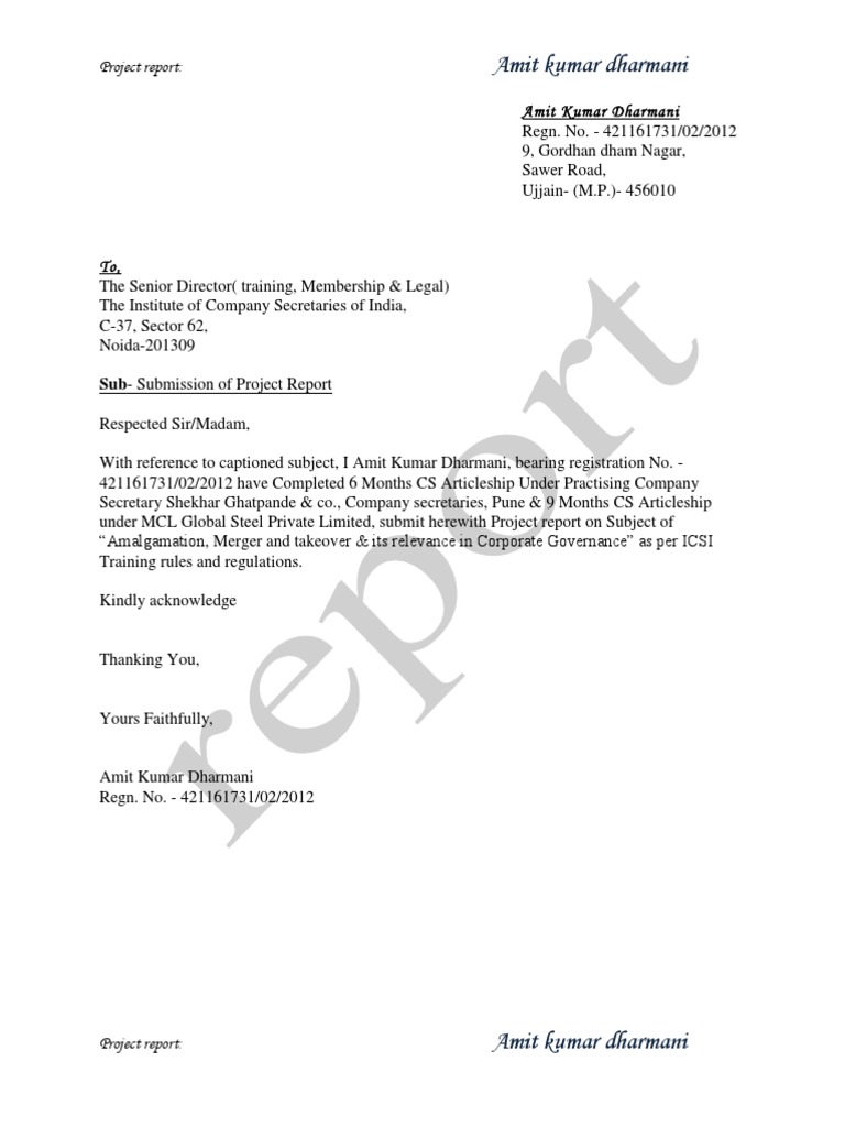 Amalgamation and Corporate Governance Report | PDF | Consolidation ...
