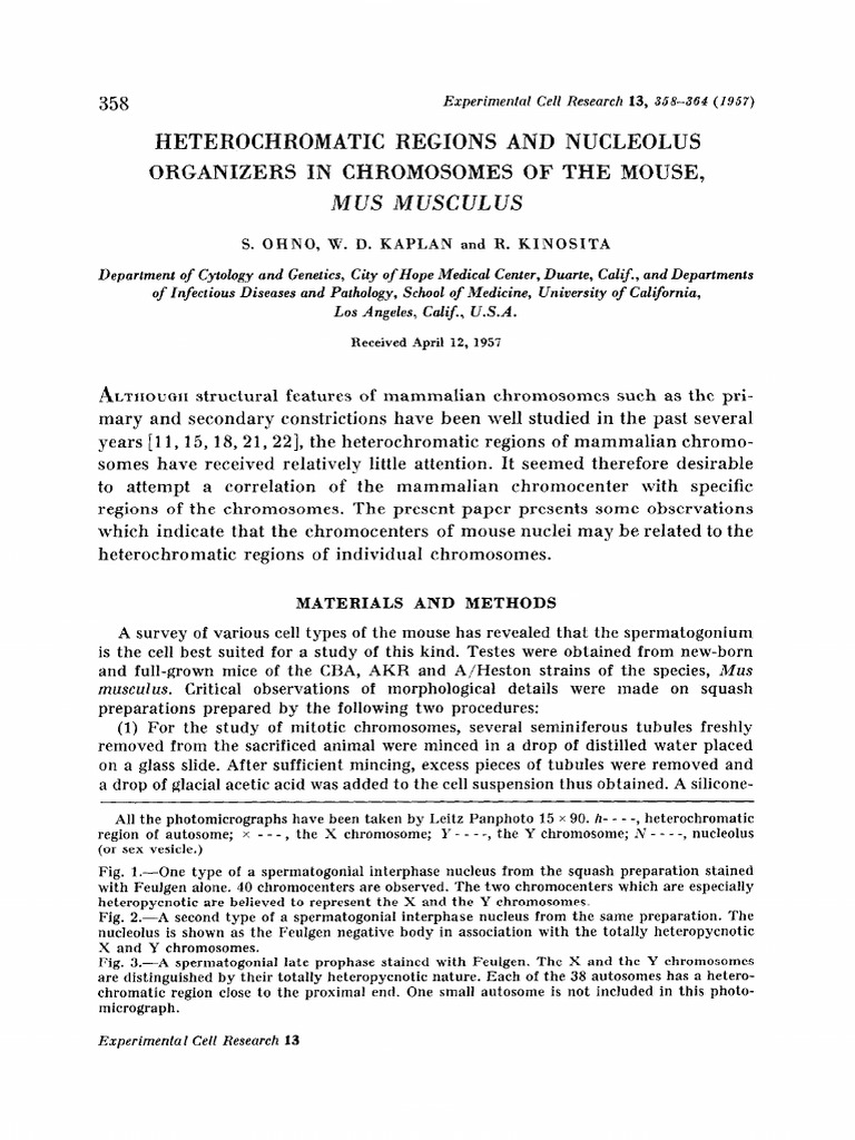 Heterochromatic Regions and Nucleolus Organizers in Chromosomes of The ...