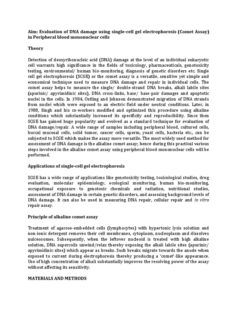 DNA Damage Detection Using Comet Assay | PDF | Agarose Gel ...
