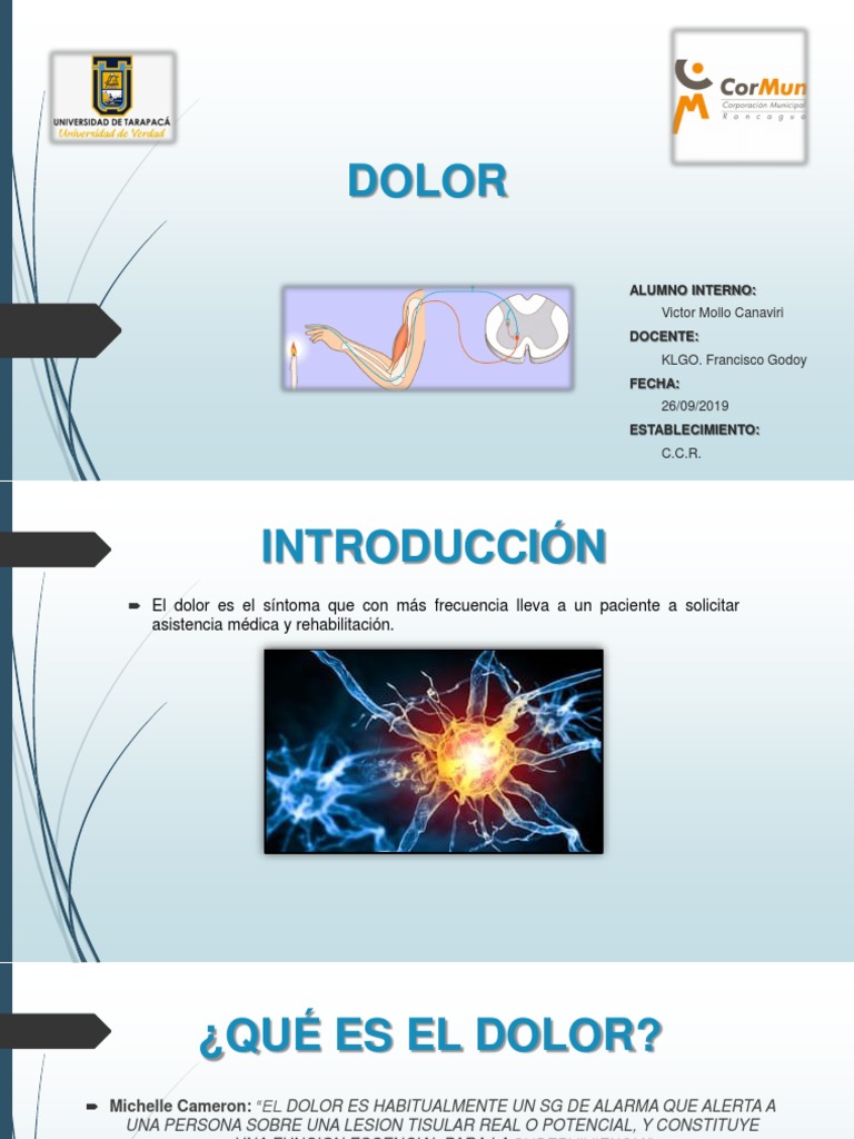 Comprendiendo el Dolor Crónico | PDF | Dolor | Síntomas y signos: general