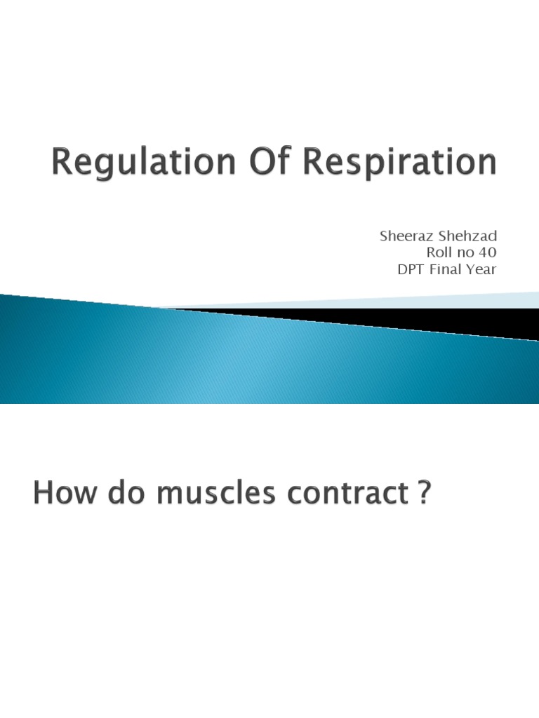 Regulation of Respiration | PDF | Breathing | Respiration