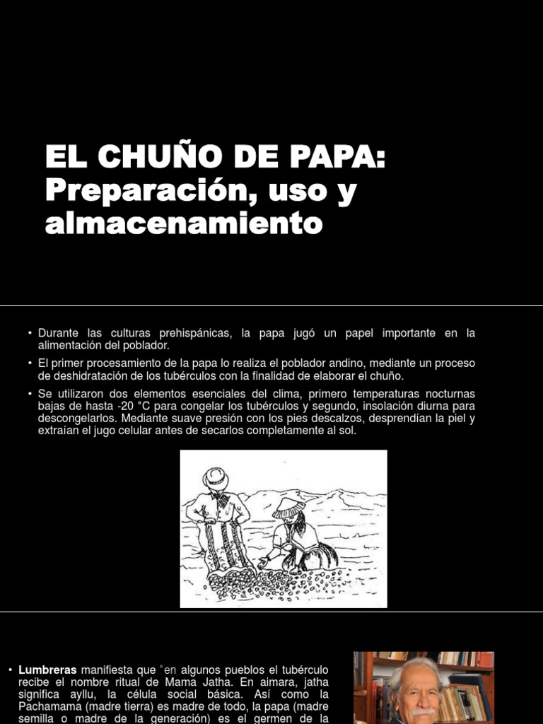 El Chuño de Papa | PDF | Patata | Comida y bebida