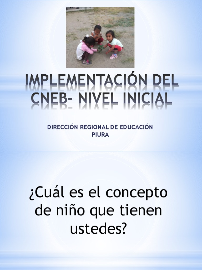 Procesos de Implementación Del Cneb-Inicial Piura | PDF | Evaluación ...