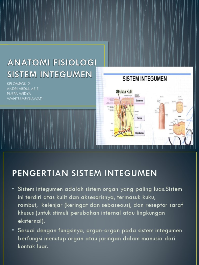 Anatomi Fisiologi Sistem Integumen | PDF