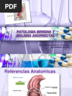 Anatomia de Mesorecto | PDF | Cáncer colonrectal | Cirugía