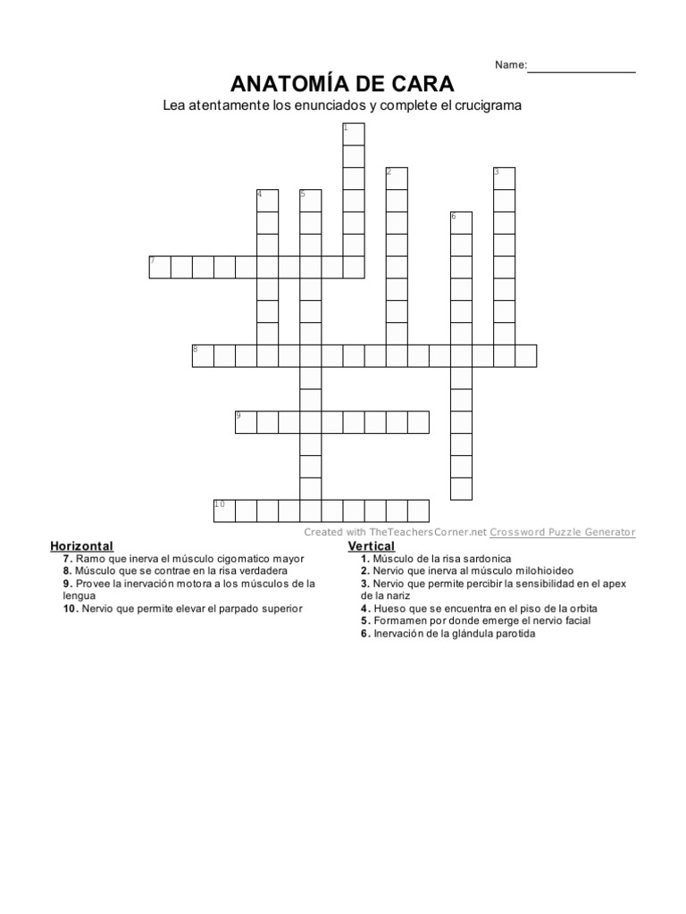 Crucigrama | PDF | Cabeza y cuello humanos | Sistema nervioso