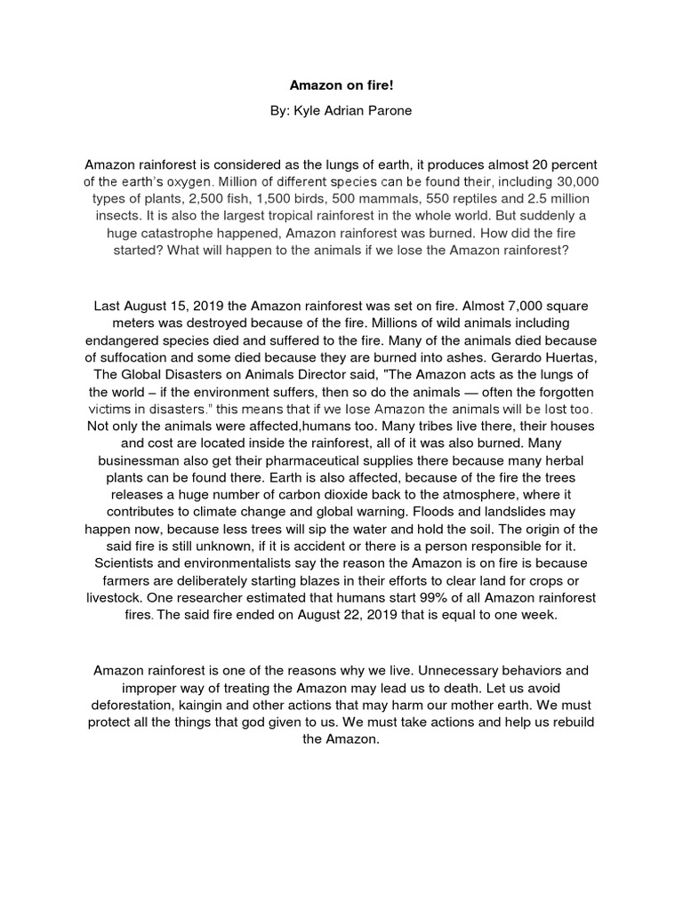 Persuasive Essay | PDF | Rainforest | Amazon Rainforest