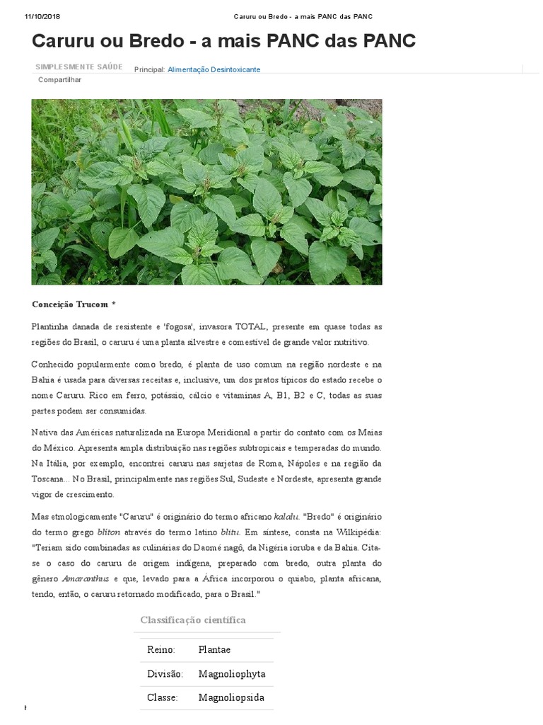 Caruru Ou Bredo - A Mais PANC Das PANC | PDF | Plantas | Alimentos