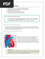 Cardiovascular Disease Case Study | PDF | Heart Valve | Circulatory System