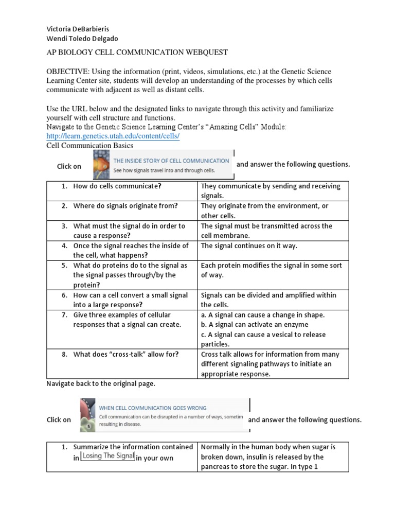 Cell Communication Webquest Guide | PDF | Cell Signaling | Cytokine