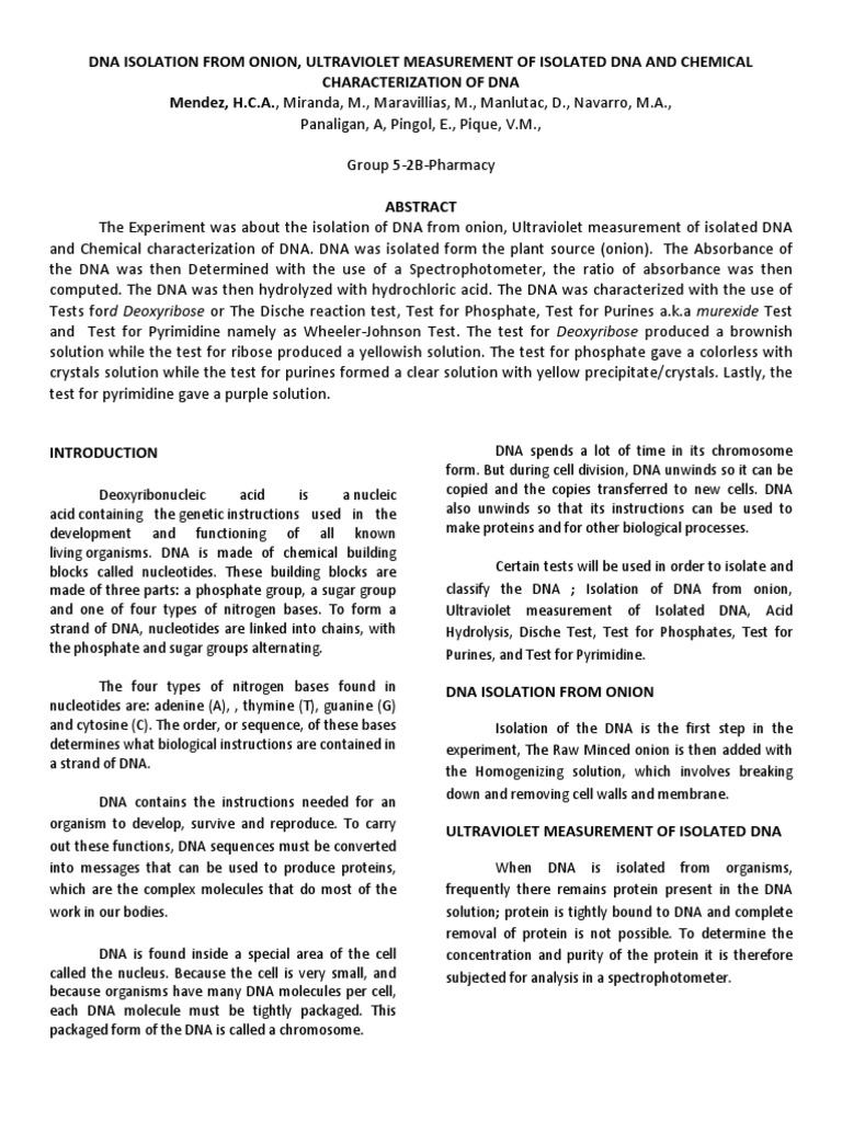 Dna Isolation From Onion | PDF | Nucleotides | Nucleic Acid Sequence