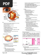 Steiner Stick and Holdaway Analysis | PDF | Human Head And Neck ...