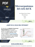 Prueba Hopkins-Cole: Identificación de Triptófano | PDF | Aminoácidos ...