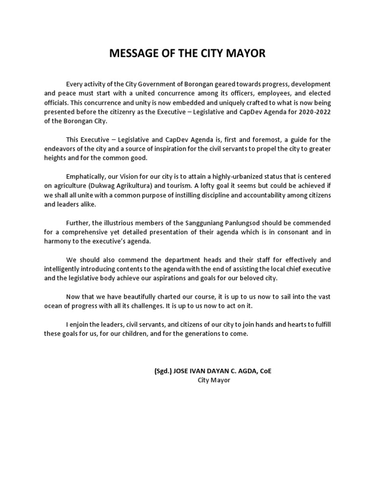 Borongan's Vision for Progress | PDF | Business | Finance & Money ...