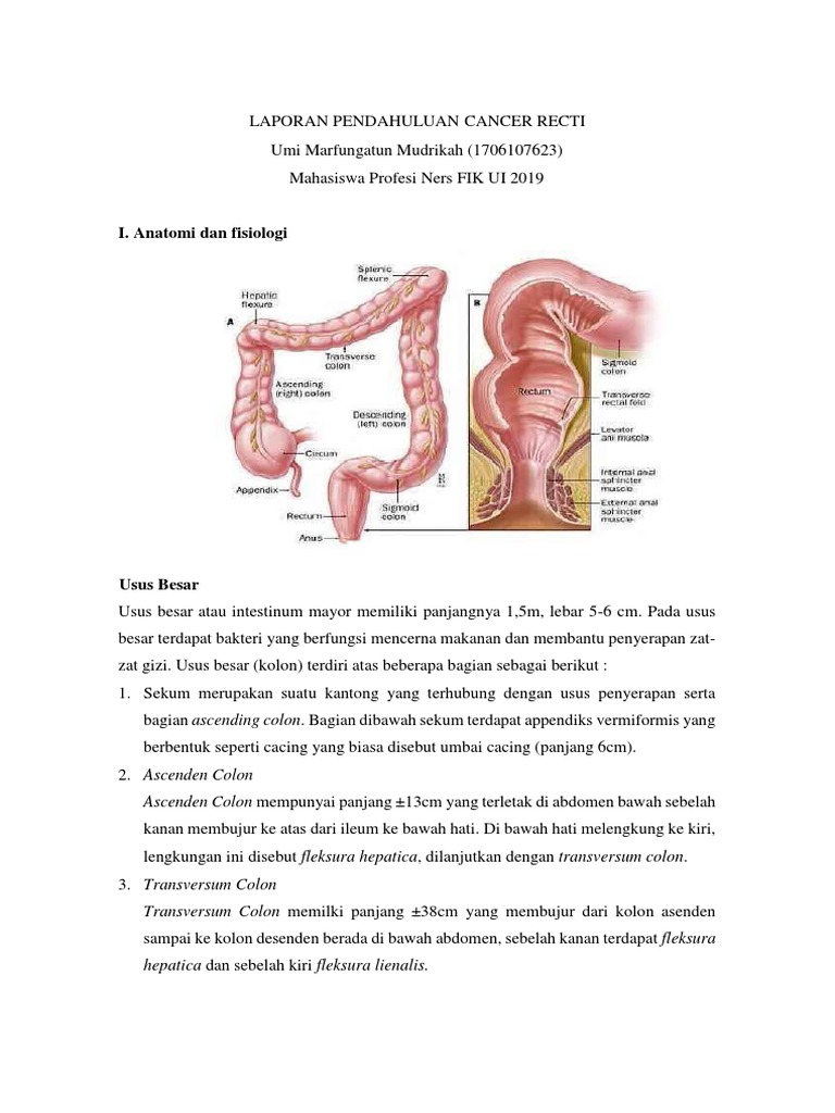 Laporan Pendahuluan Cancer Recti | PDF