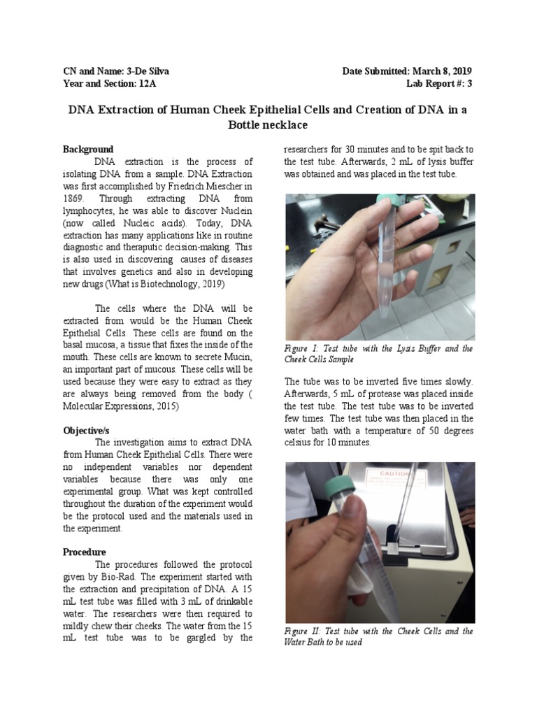 DNA Experiment | PDF | Dna | Experiment