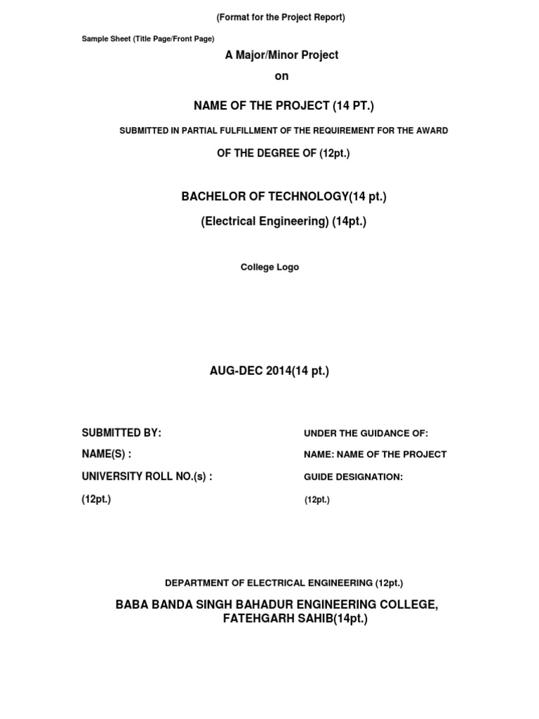 Major/Minor Project Report Format | PDF | Times New Roman | Computing