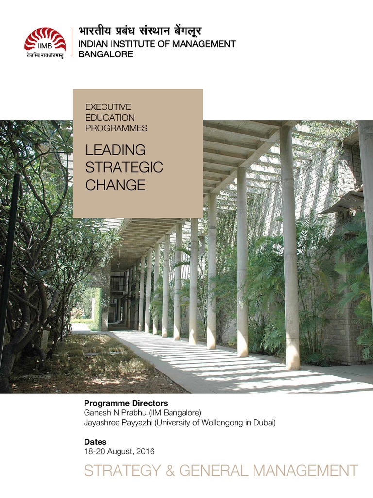 Leading Strategic Change | PDF | Business | Economies